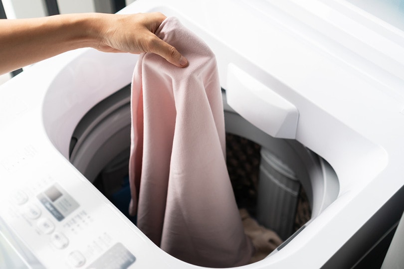 Does Linen Shrink In The Dryer Grea Vision